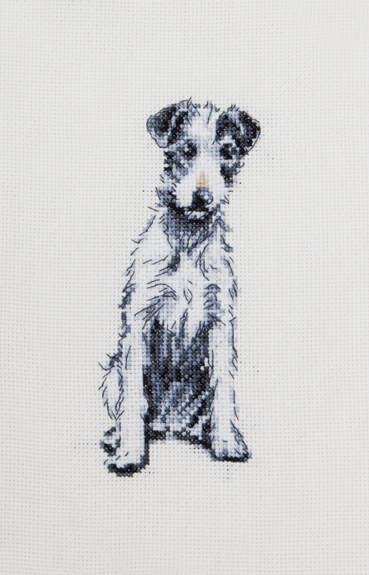 Cecil Aldin Man's Best Friend Cross Stitch Kit - Barney – Hello Crafts