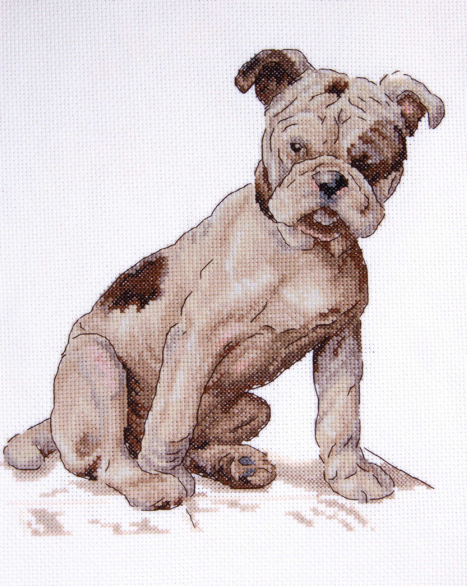 Cecil Aldin Man's Best Friend Cross Stitch Kit - Henry – Hello Crafts