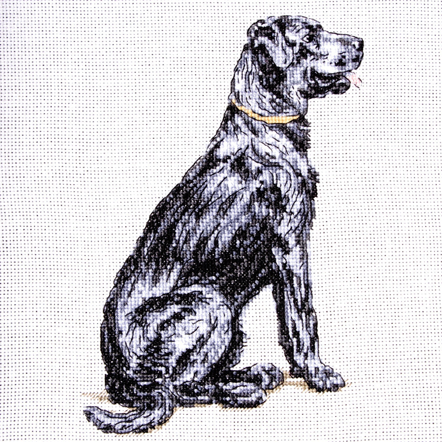 Cecil Aldin Man's Best Friend Cross Stitch Kit - Rex – Hello Crafts