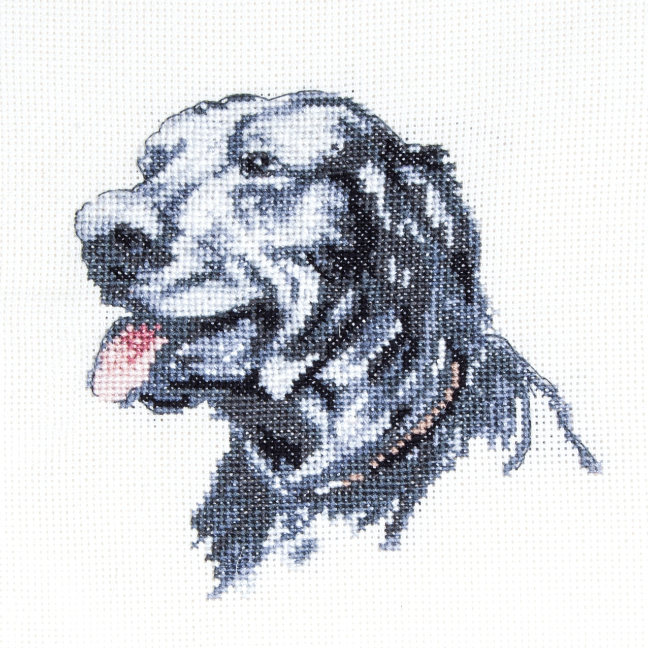 Cecil Aldin Man's Best Friend Cross Stitch Kit - Pilot – Hello Crafts